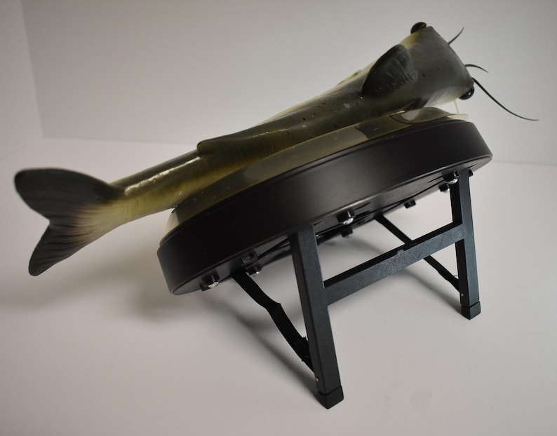 Cool Catfish Animated Singing Talking by Gemmy 2000 - Etsy
