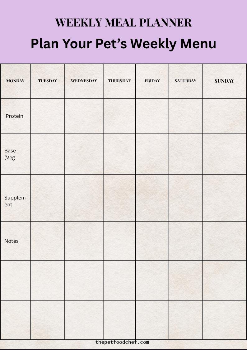 Homemade Pet Food Starter Guide - Etsy