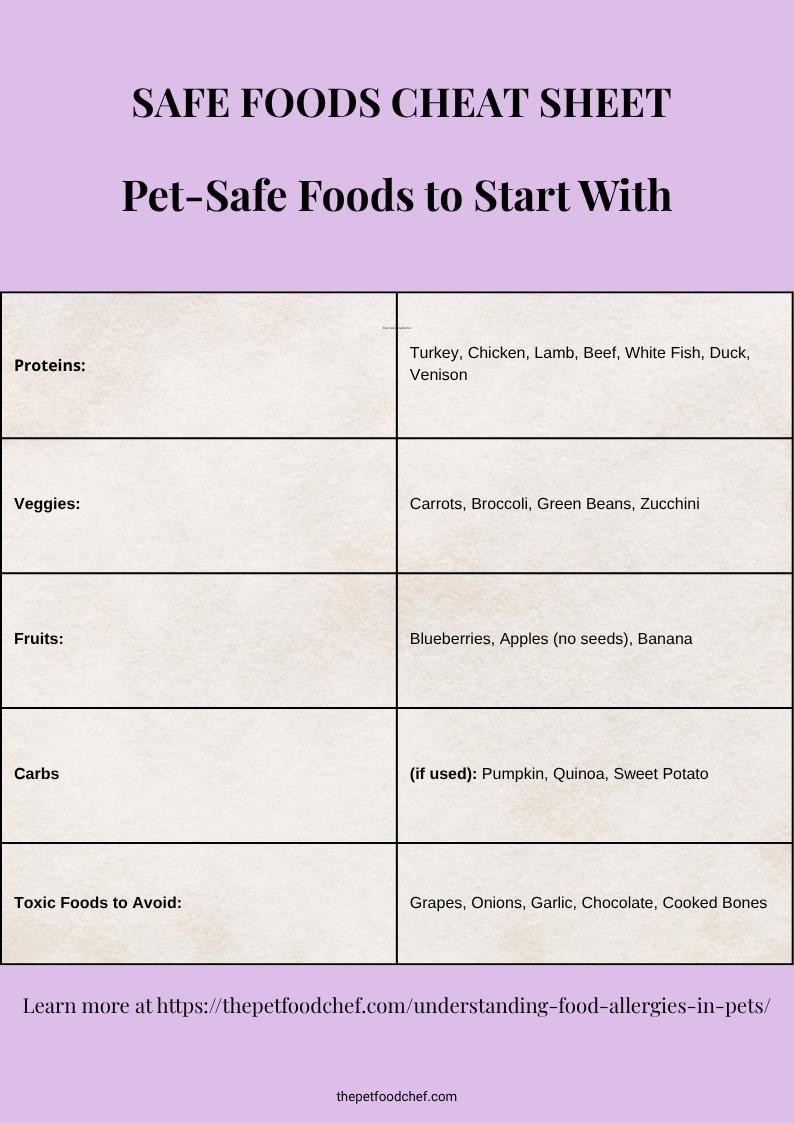 Homemade Pet Food Starter Guide - Etsy