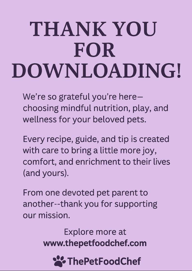 Homemade Pet Food Starter Guide - Etsy