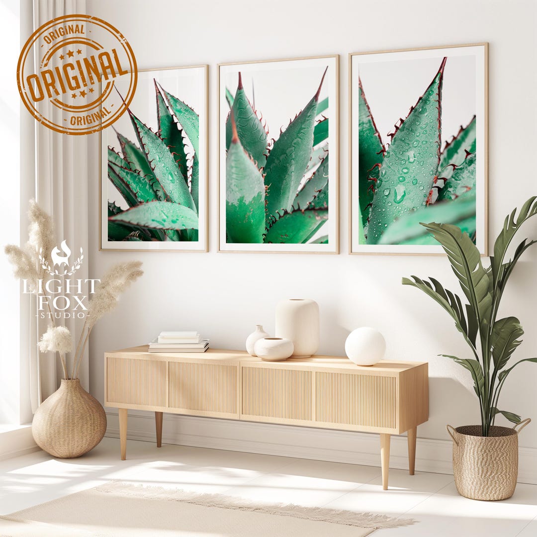 Succulent Cactus Wall Art Printable Plant Pictures Set of 3 Wall Decor ...