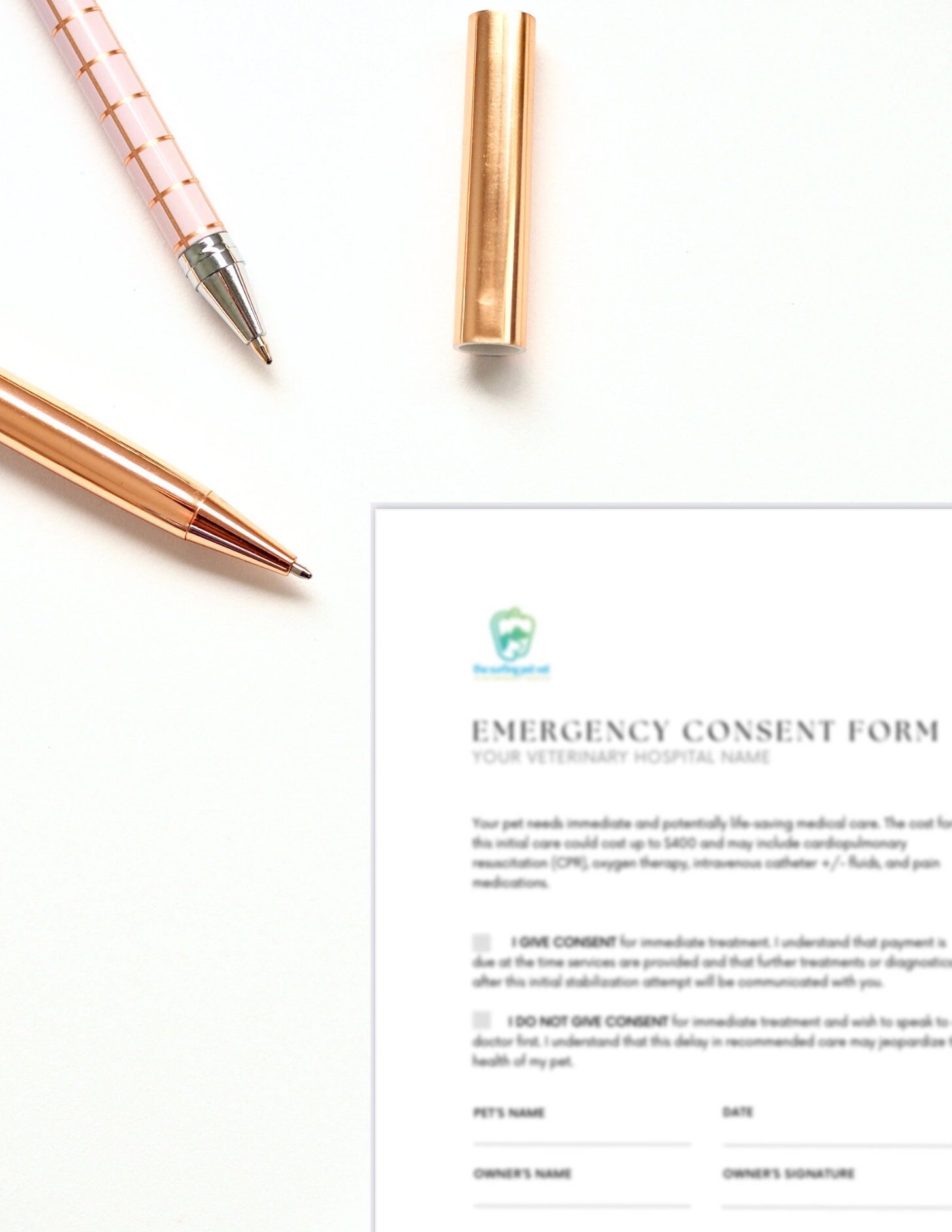 Veterinary Hospital Emergency Treatment CPR DNR Consent Form Vet Clinic ...