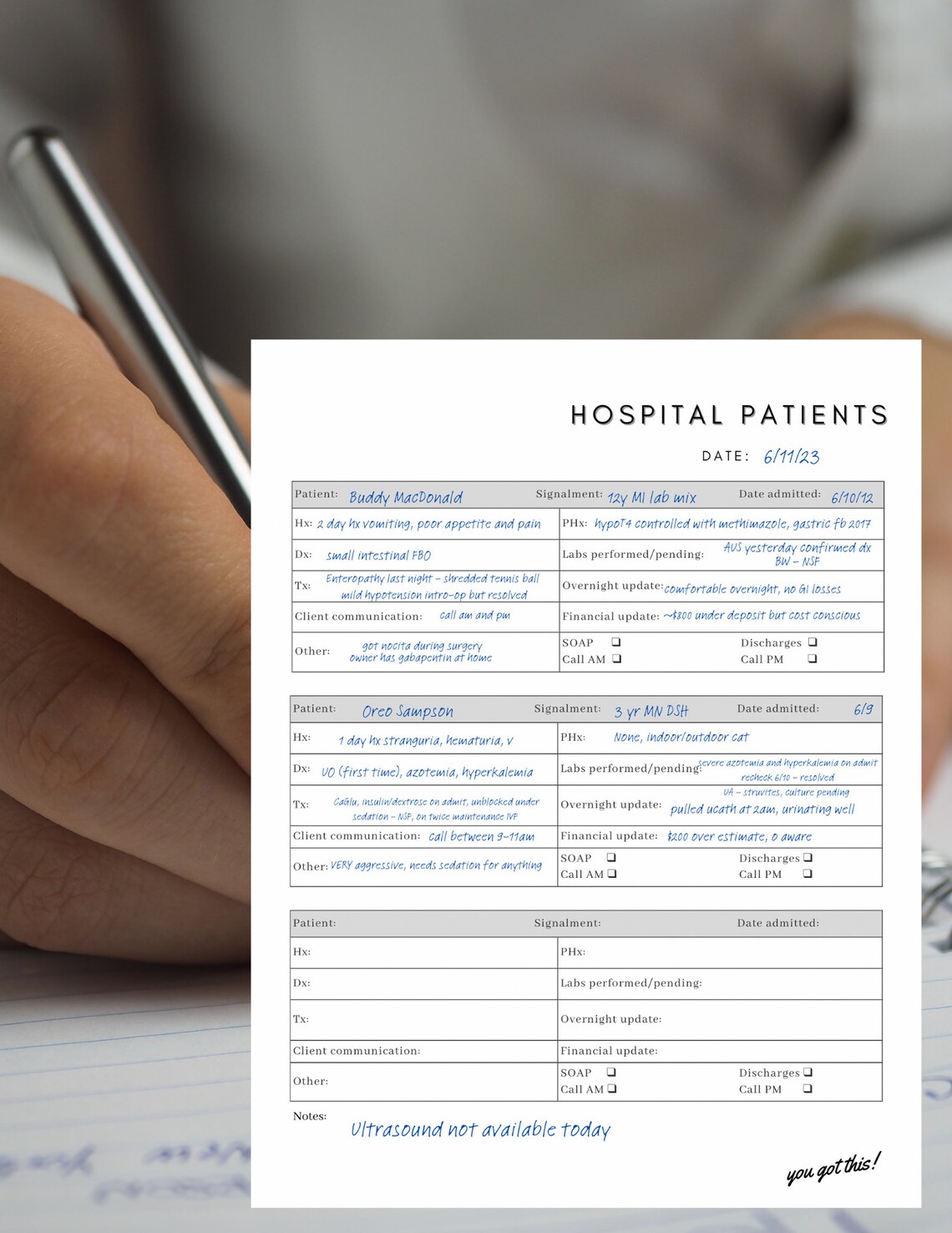 Veterinarian Patient Rounds Form for Dvms ER CCU Patient Summary ...