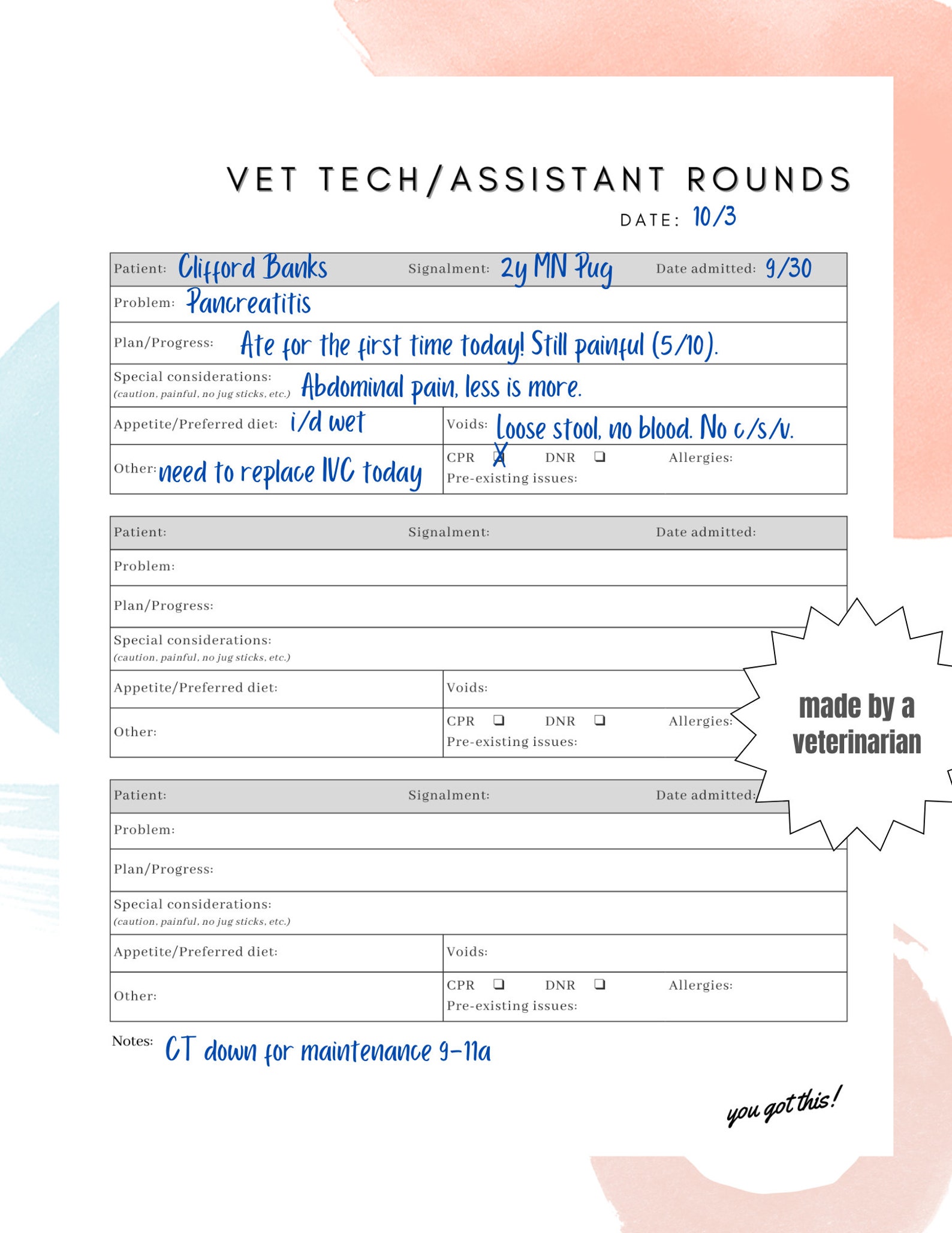 Vet Tech RVT LVT Assistant Patient Rounding Rounds Form ER Veterinary ...