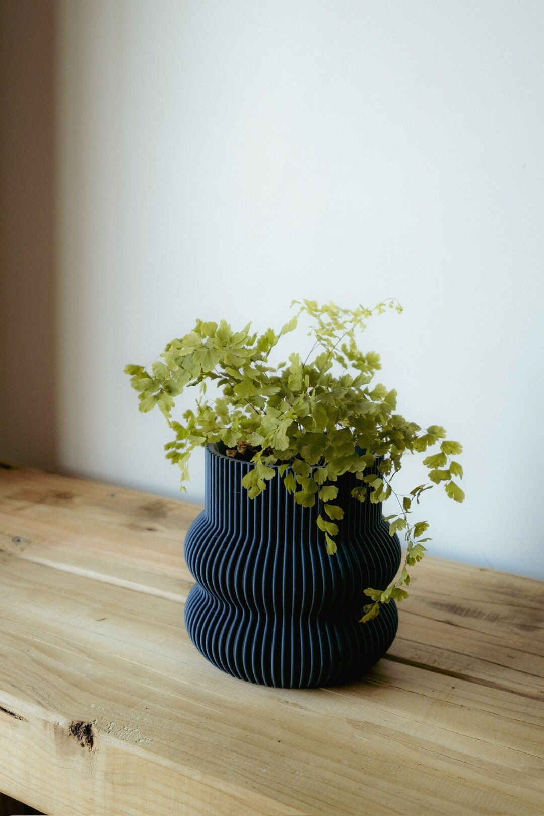 The Curvy Ribbed Decorative Pot - Etsy
