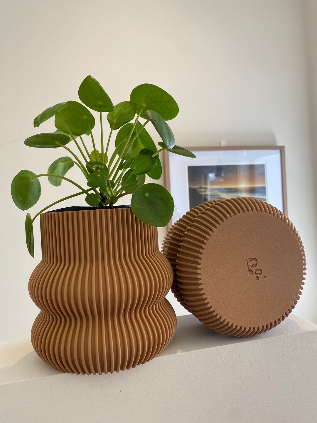 The Curvy Ribbed Decorative Pot - Etsy