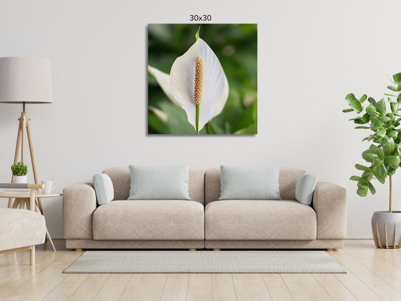 Peace Lily Photo, Peace Lily Digital Print, Botanical Wall Art, House ...