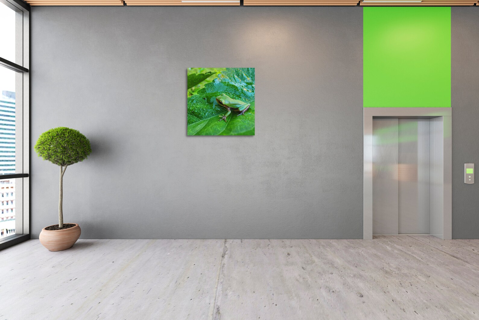 Frog Photo, Green Tree Frog Photo, Frog Digital Download, Tree Frog ...