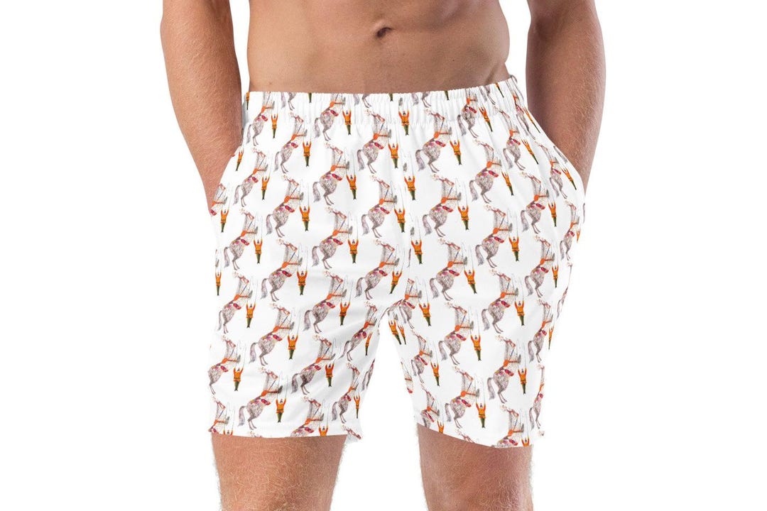 Chic French--men's Swim Trunks - Etsy