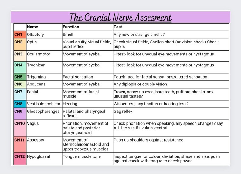 Paramedic/nursing Colourful Medical System Assessment Guide - Etsy