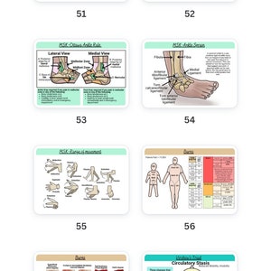 Paramedic/nursing Colourful Medical System Assessment Guide - Etsy