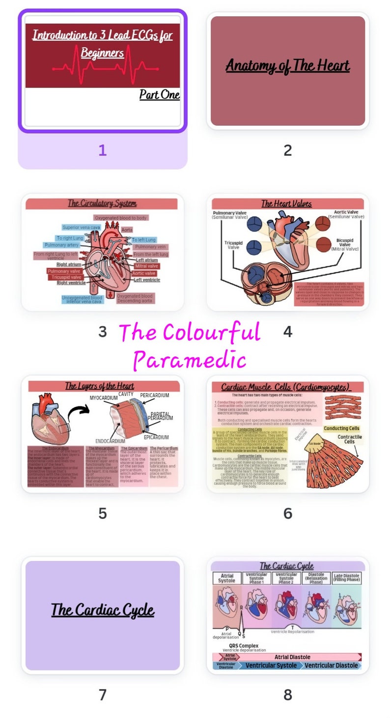 The Three Lead ECG Guide Part One - Etsy