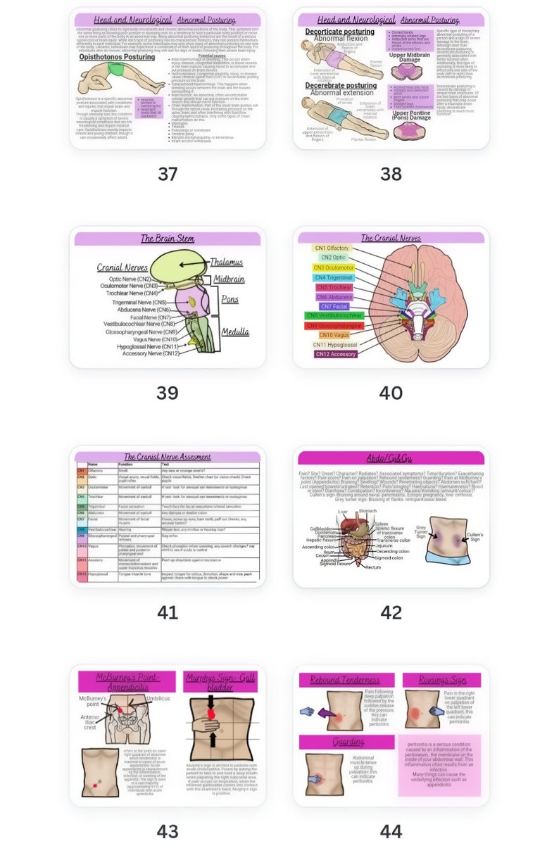 Paramedic/nursing Colourful Medical System Assessment Guide - Etsy