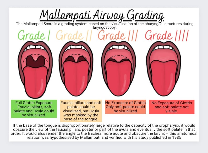 Paramedic/nursing Colourful Medical System Assessment Guide - Etsy