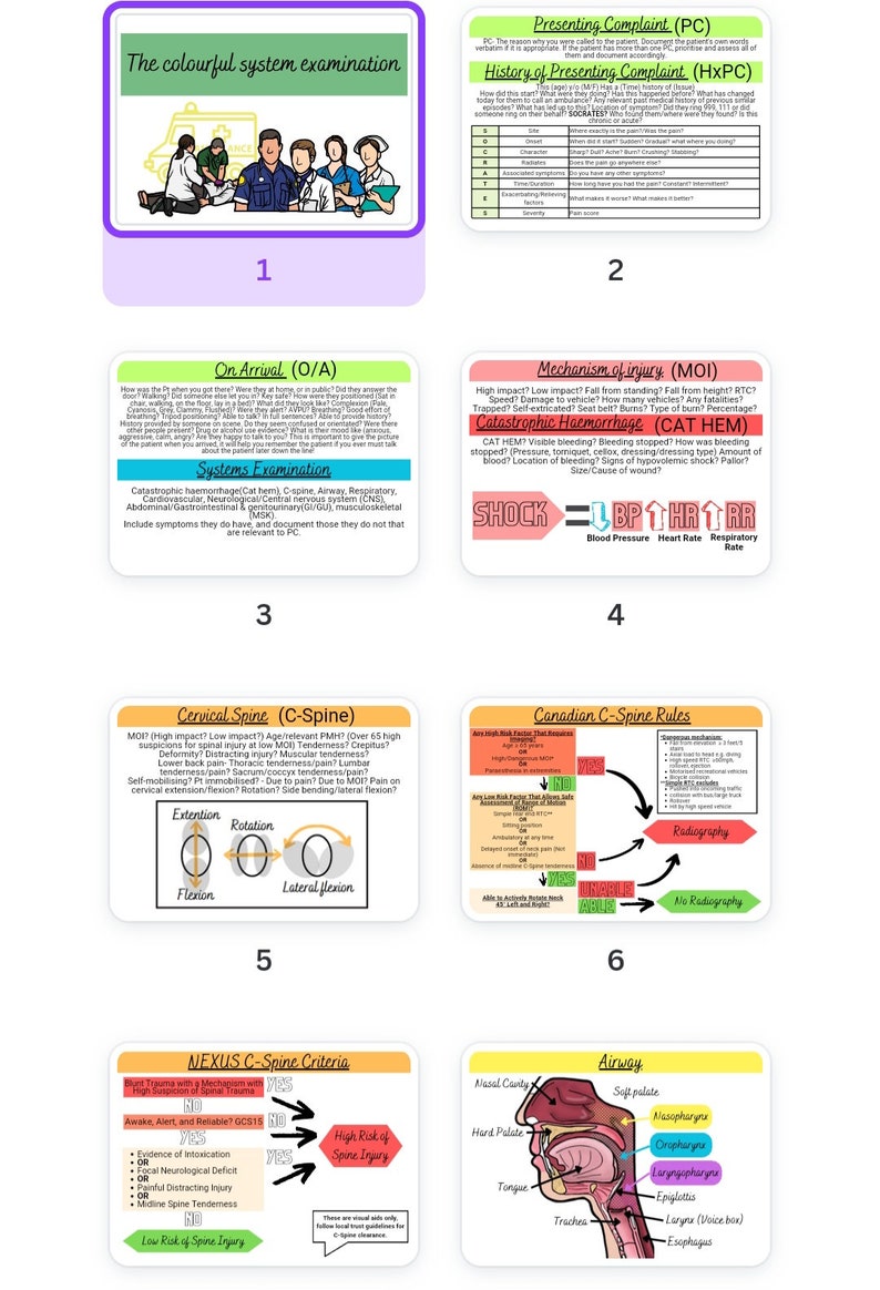 Paramedic/nursing Colourful Medical System Assessment Guide - Etsy