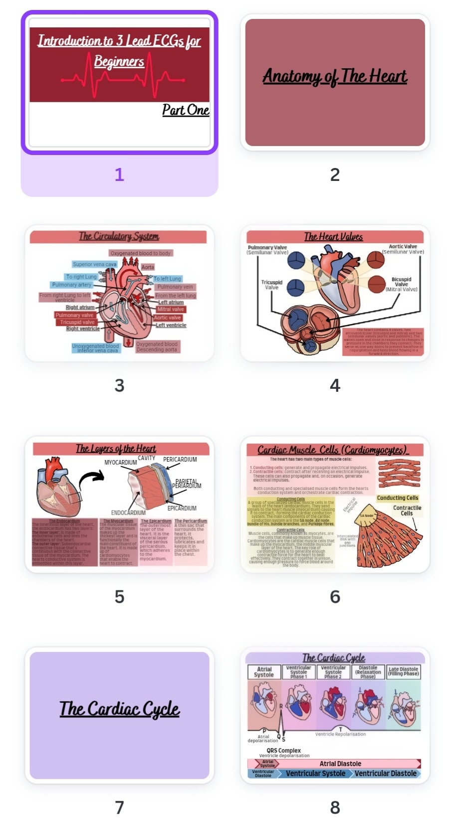 The Three Lead ECG Guide Part One - Etsy UK