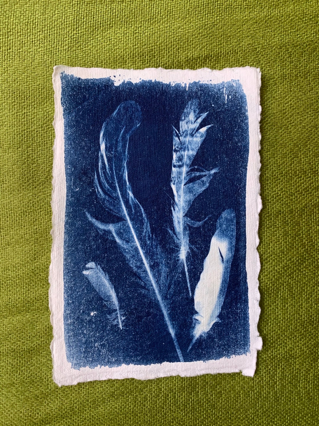 Floating Feathers // Original Cyanotype Print - Etsy