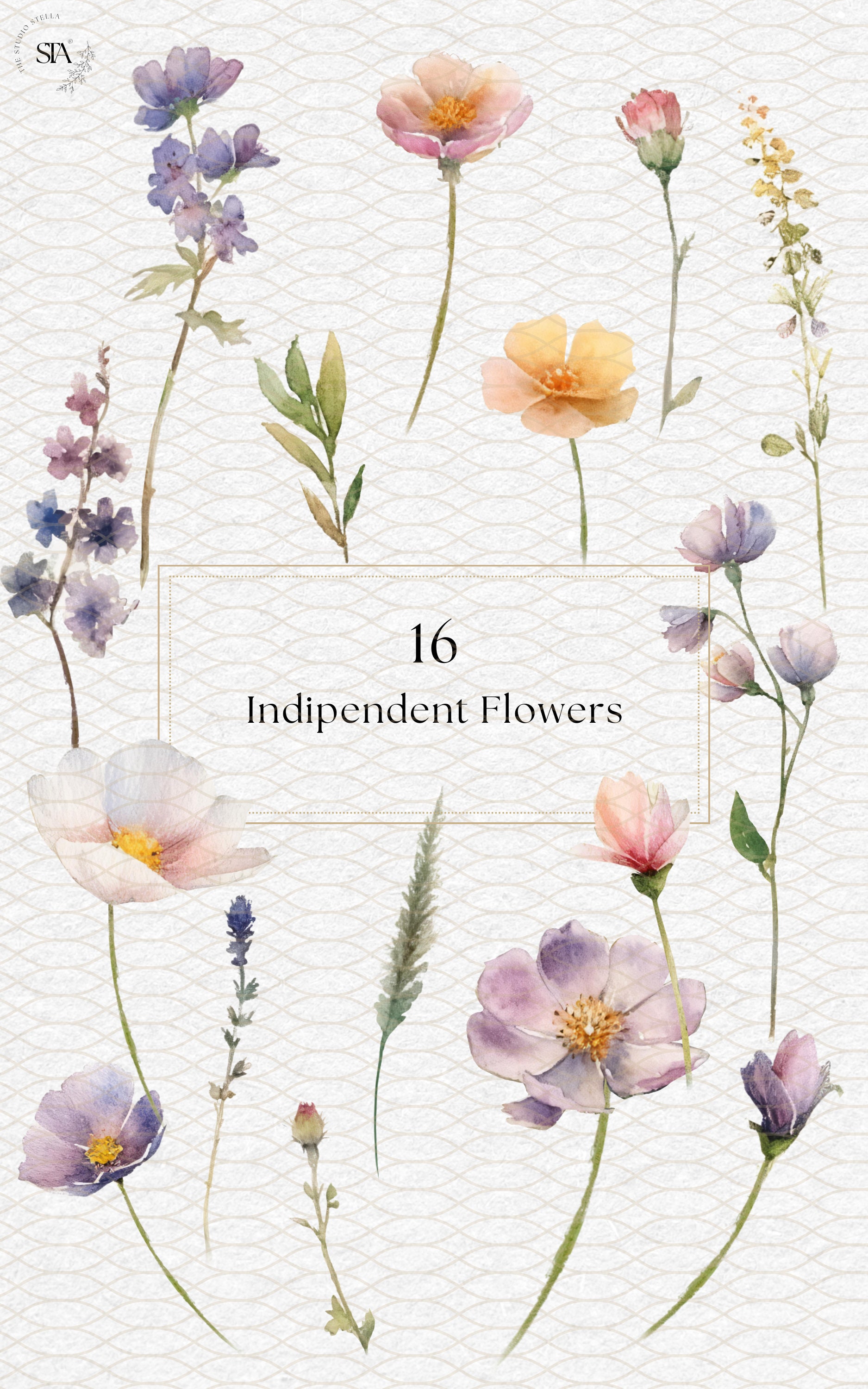 Borders Watercolor Flowers Botanic - Wedding Clip Art, Premade Clipart ...