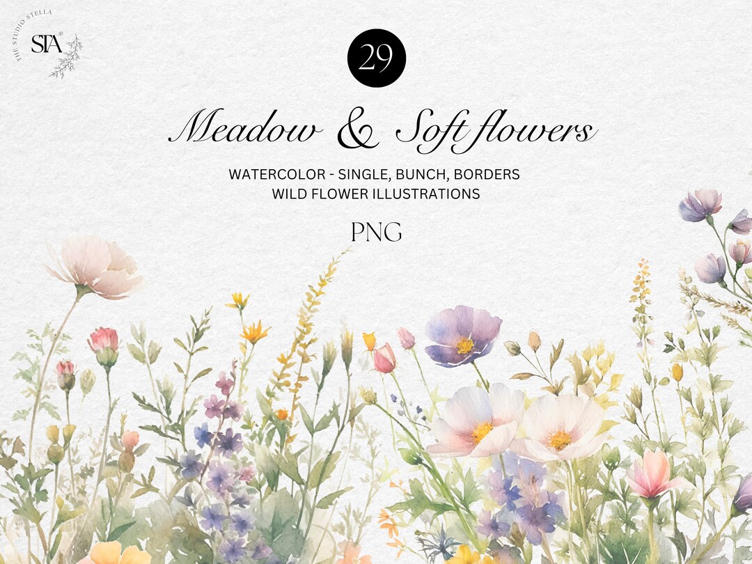 Borders Watercolor Flowers Botanic - Wedding Clip Art, Premade Clipart ...
