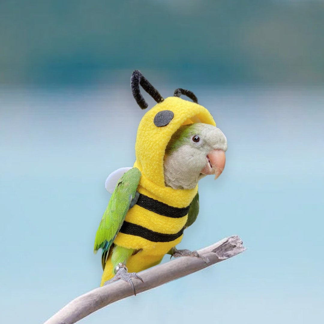 Cartoon Bee Thick Clothes With Hat Parrot Costume Bird Warm - Etsy