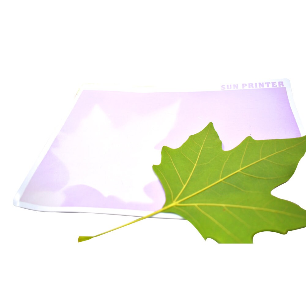 Kids STEAM Experiment Kit Fun With Science DIY Craft Project 8+ - Etsy