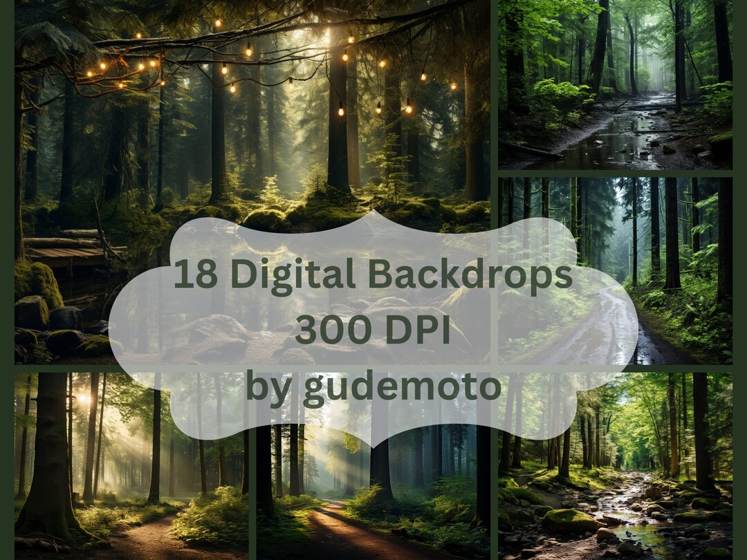 Forest Digital Backgrounds | Woodsy Digital Background | Forest Digital ...