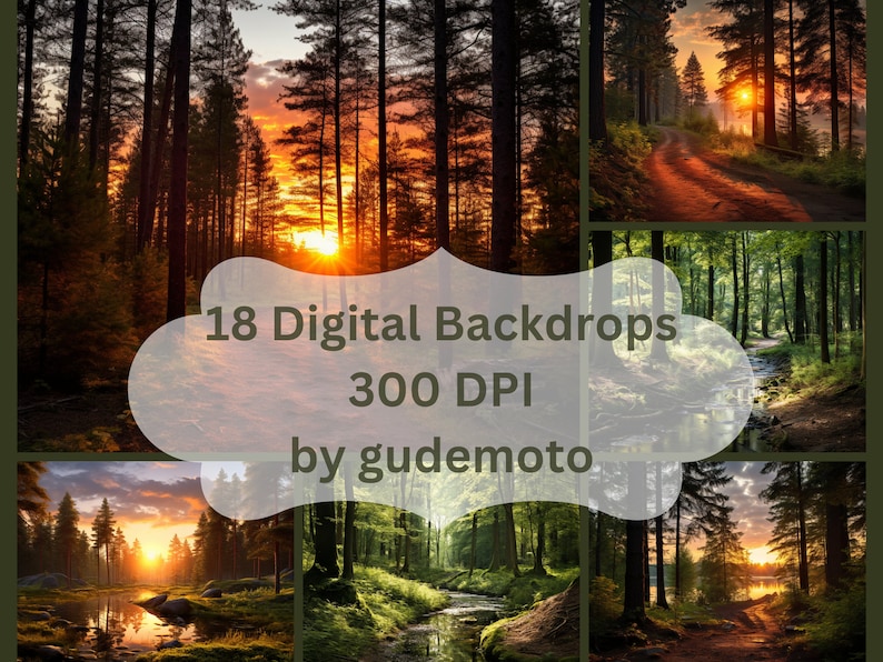 Woods Digital Backgrounds Forest Digital Backdrops Woodsy Digital ...