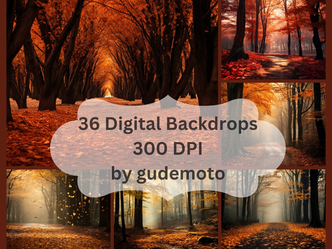 Fall Woodsy Digital Background Mega Bundle Fall Background Digital ...