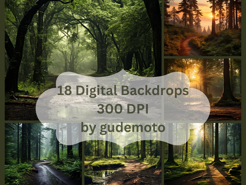 Woods Digital Backgrounds Forest Digital Backdrops Woodsy Digital ...