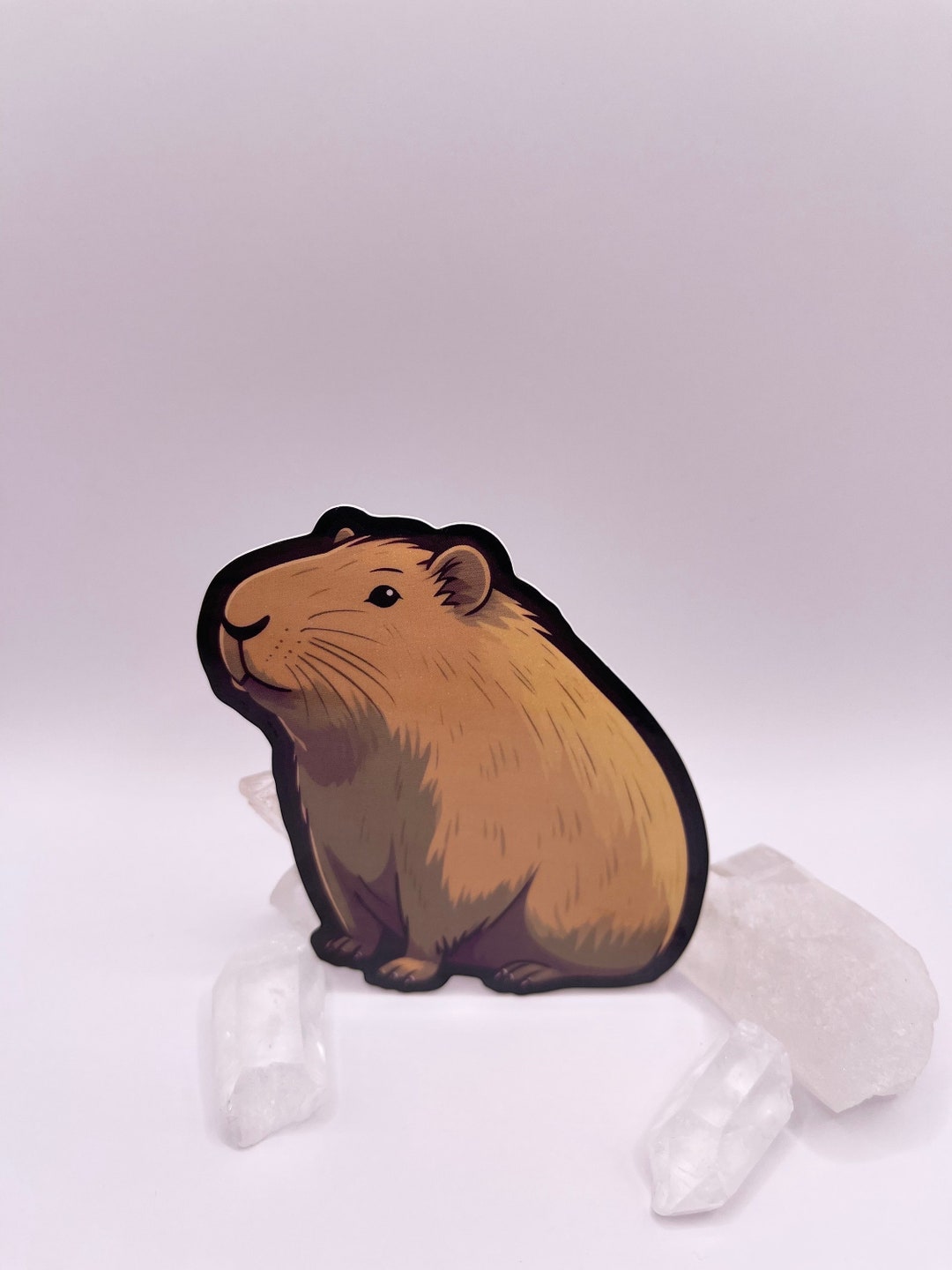 Capybara Vinyl Sticker / Bumper Stickers / Laptop Sticker / - Etsy