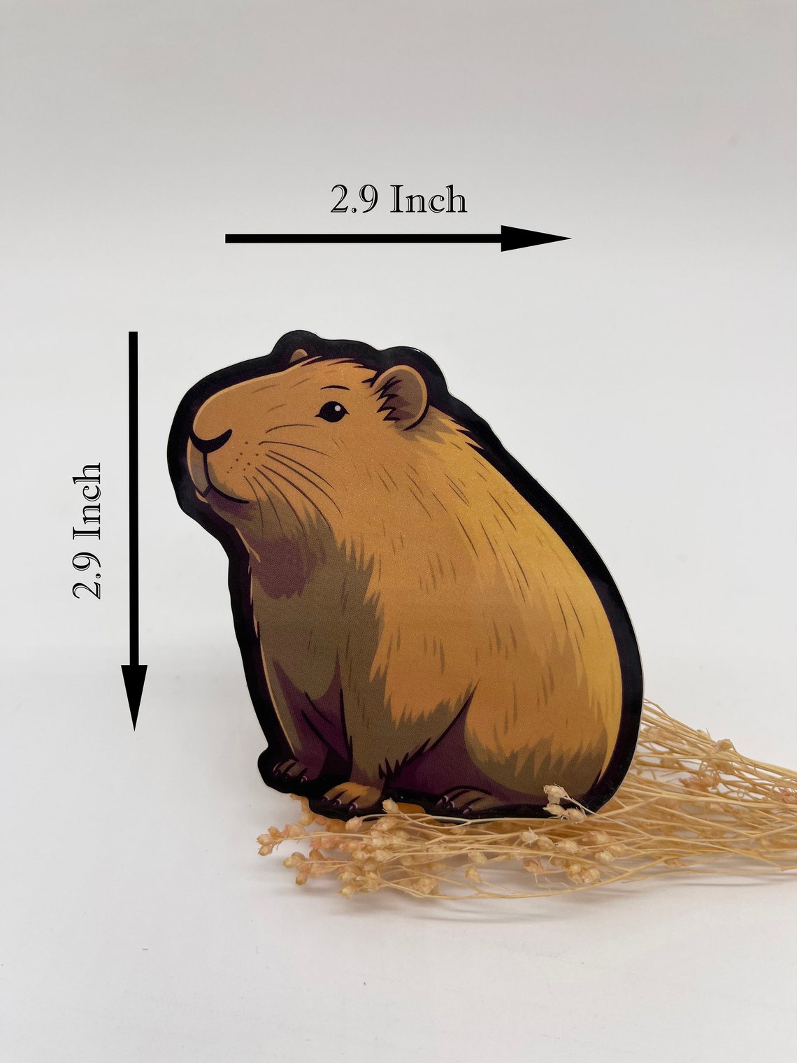 Capybara Vinyl Sticker / Bumper Stickers / Laptop Sticker / Skateboard ...