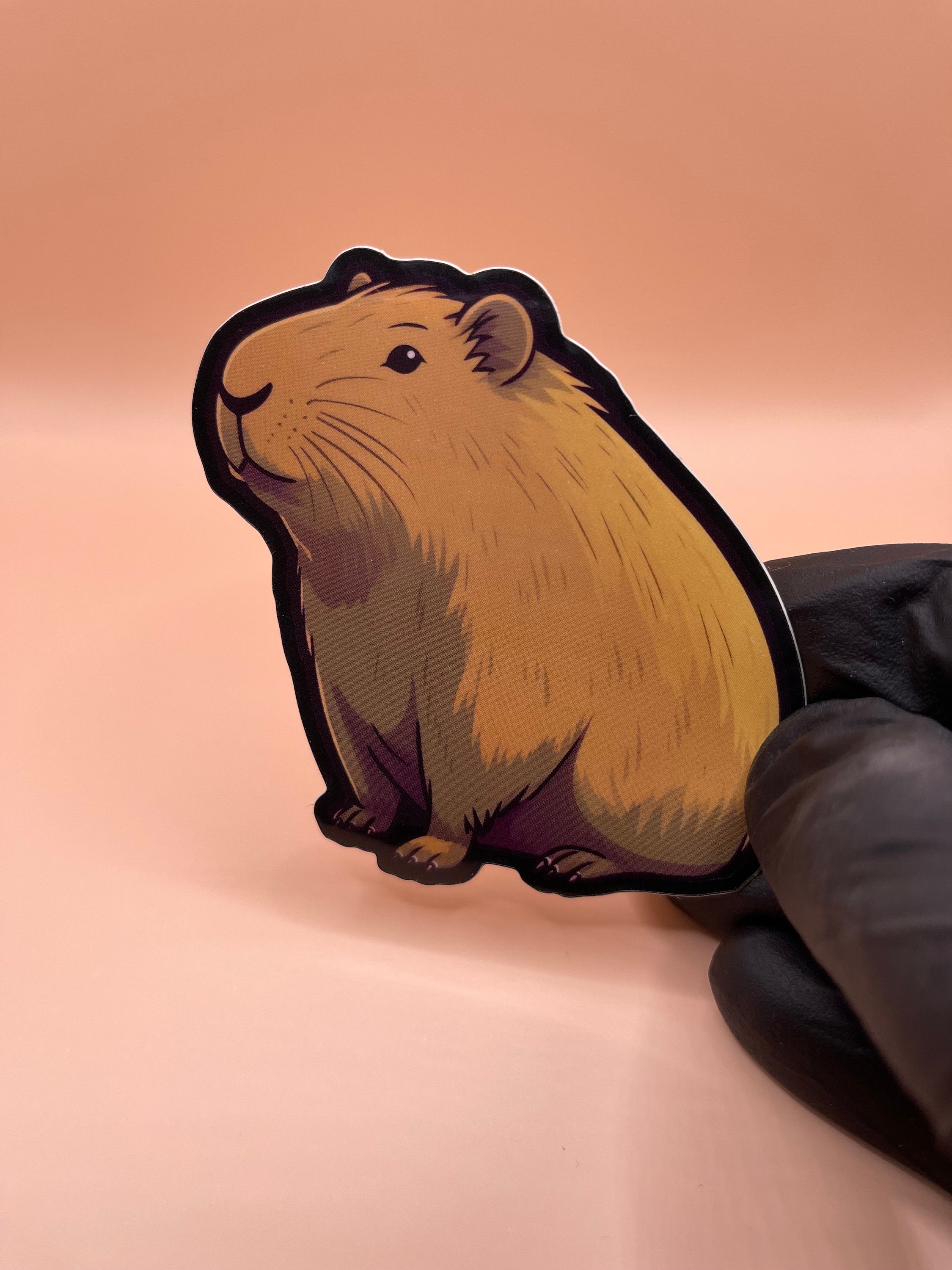 Capybara Vinyl Sticker / Bumper Stickers / Laptop Sticker / Skateboard ...