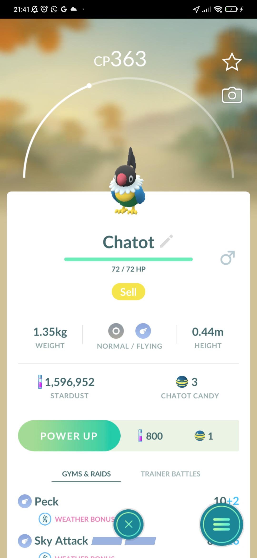 Chatot Regional Pokémon - Pokémon Go - Etsy