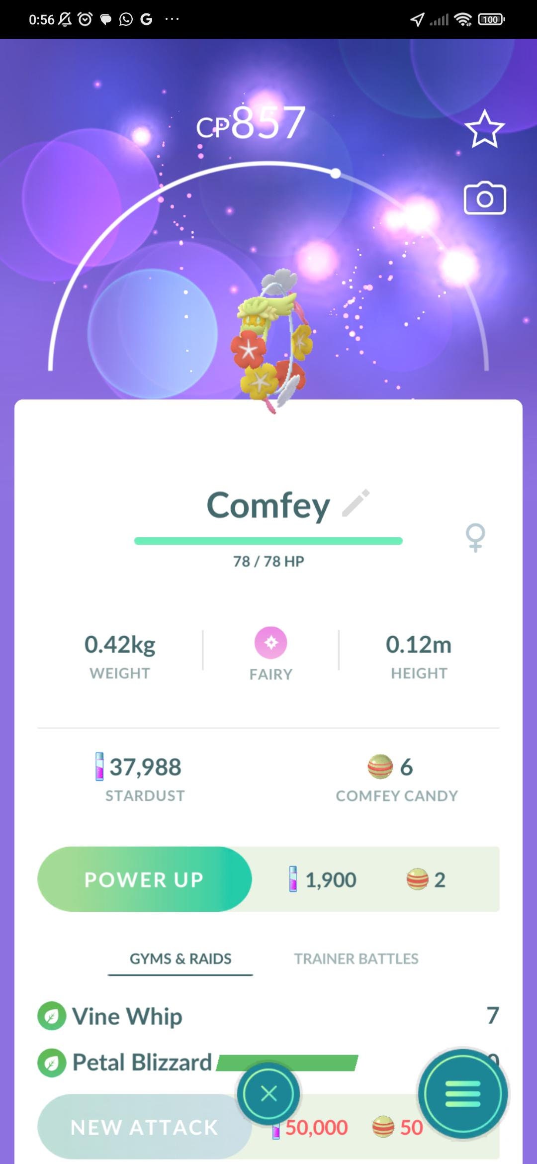 Comfey Regional Pokémon Pokémon Go - Etsy