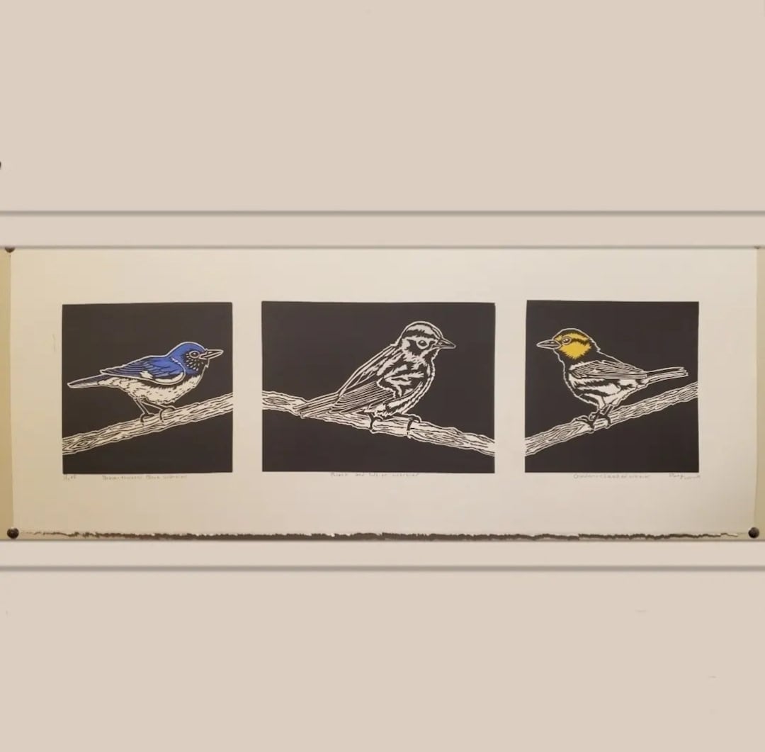 Warbler Triad Linocut Print - "black-throated Blue Warbler, Black and ...