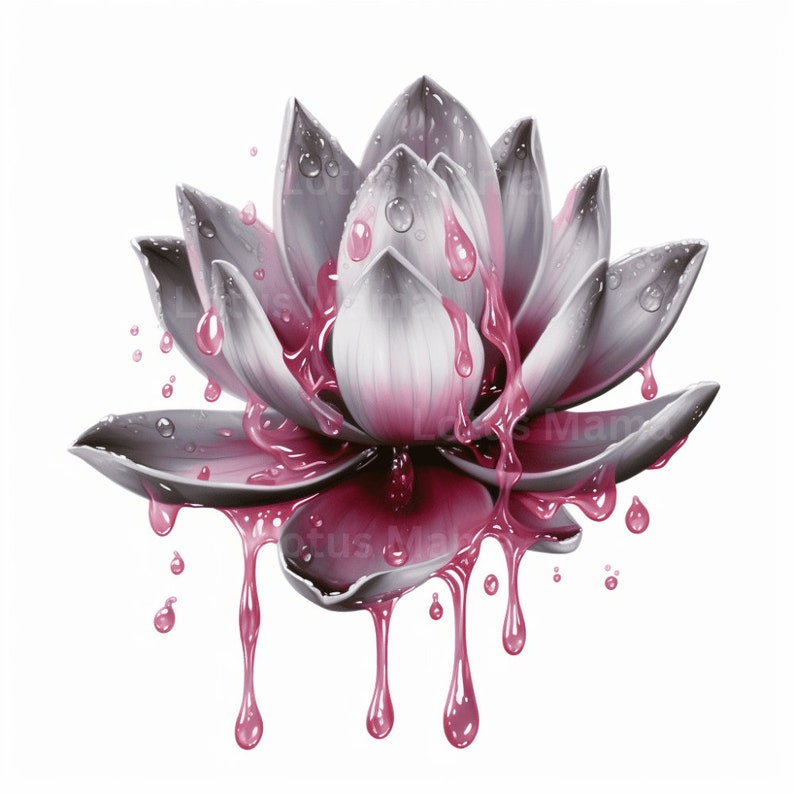 Lotus Drops Digital Art - Etsy