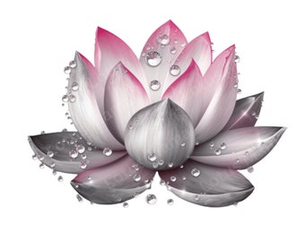 Lotus Flower Digital Art - Etsy
