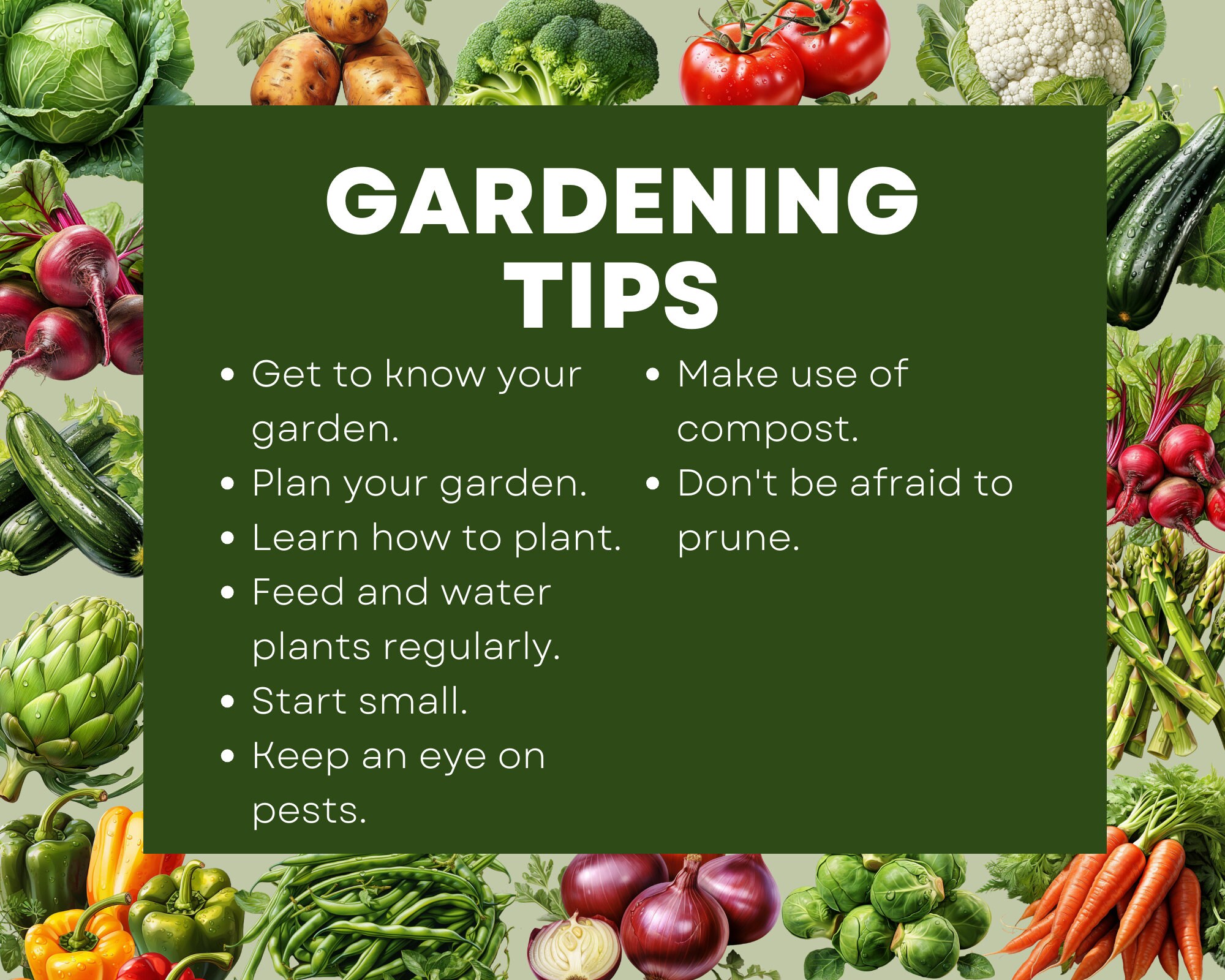 Vibrant Veggie Clipart Bundle 16 PNG Images Transparent Background ...