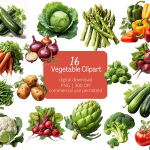 Vibrant Veggie Clipart Bundle 16 PNG Images Transparent Background ...