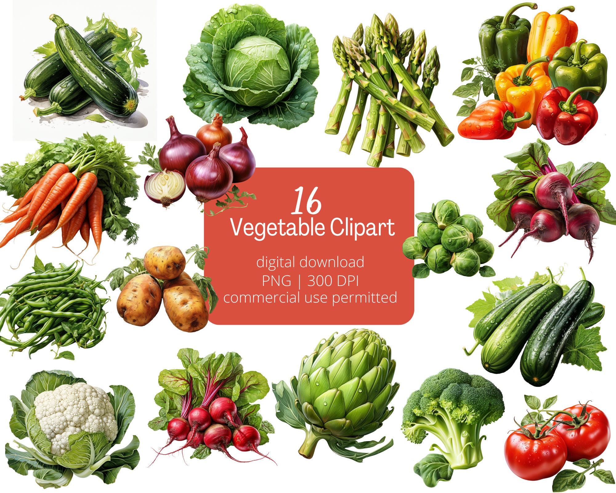 Vibrant Veggie Clipart Bundle 16 PNG Images Transparent Background ...