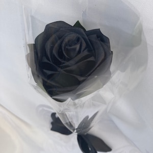 Black Rose, Single Rose Individually Wrapped Rose, Party Favor ...