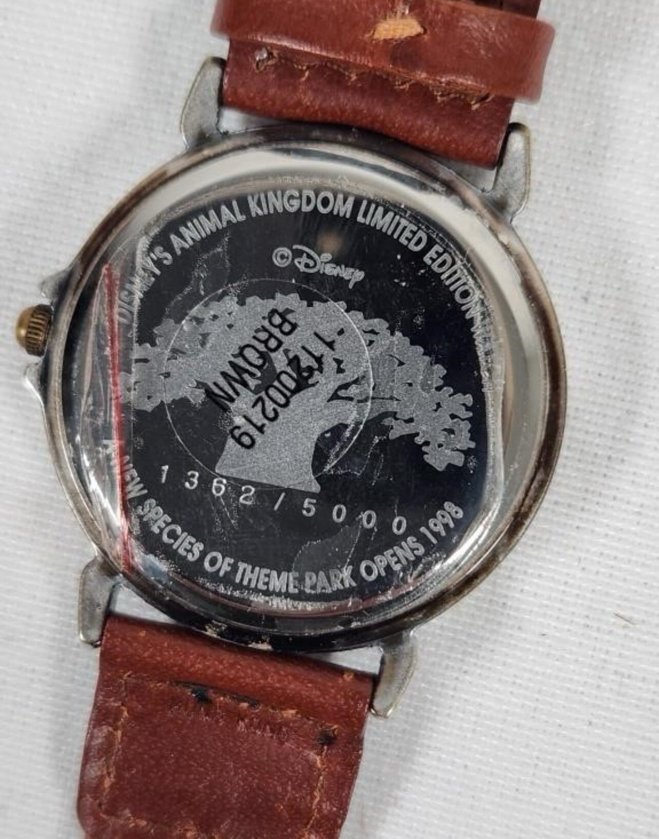 Walt Disney Animal Kingdom Opening Day Watch Linited Edition W COA - Etsy