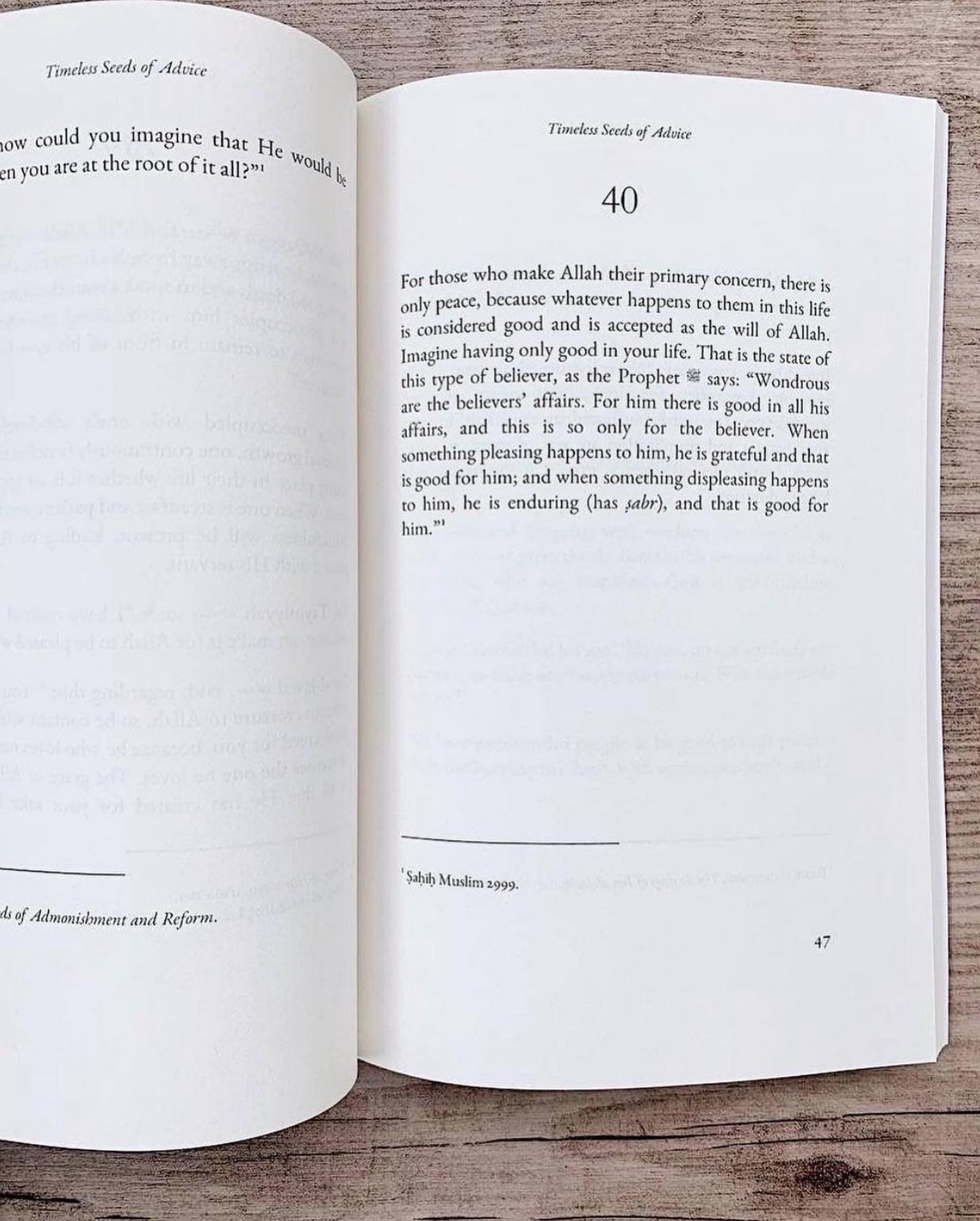 Timeless Seeds of Advice - Etsy