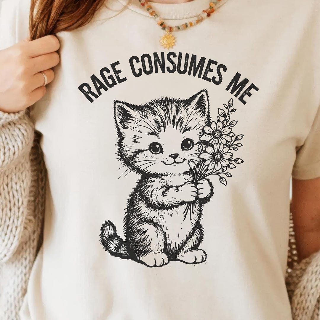 Rage Consumes Me PNG - Cat Kitten Weirdcore Funny Hilarious Meme ...