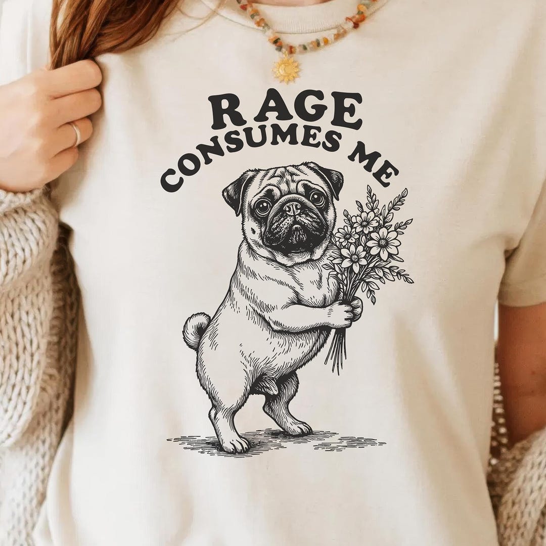 Rage Consumes Me PNG - Pug Dog Weirdcore Funny Hilarious Meme Sarcastic ...