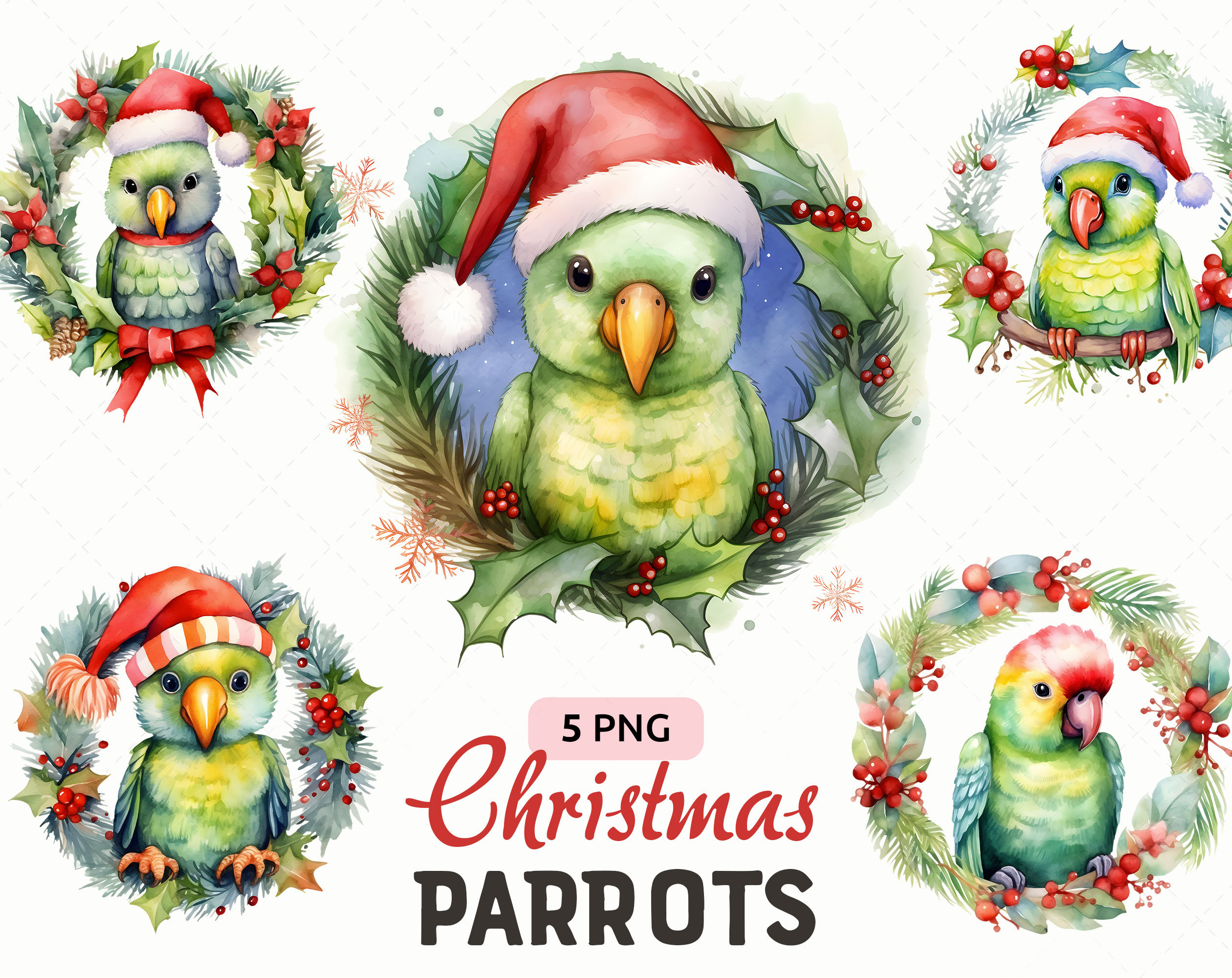 Watercolor Christmas Parrots Clipart: Holiday Bird PNG Bundle (digital ...