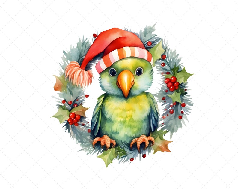 Christmas Parrots Clipart PNG Bundle, Parrots Bird With Christmas Hats ...