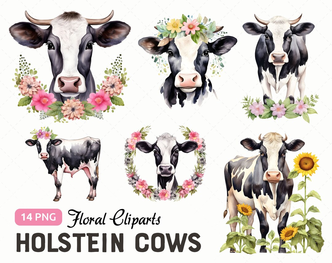 Holstein Cow Floral Clipart PNG Bundle, Cows Transparent Sublimation ...