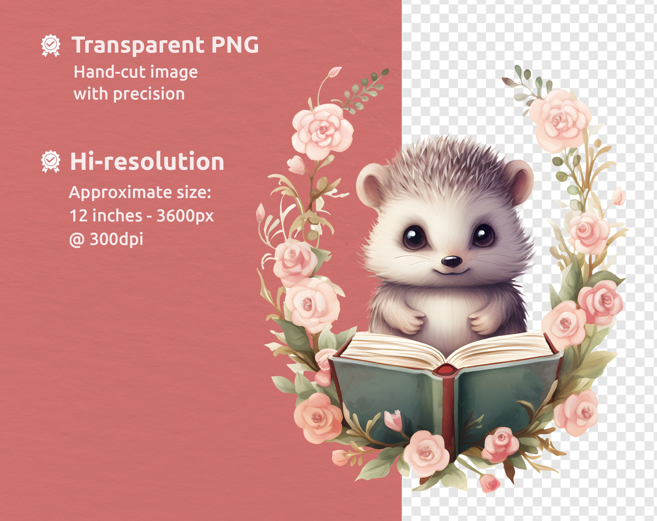 Cute Hedgehog Bookworm Clipart 12 PNG Bundle, Watercolor Baby Hedgehog ...