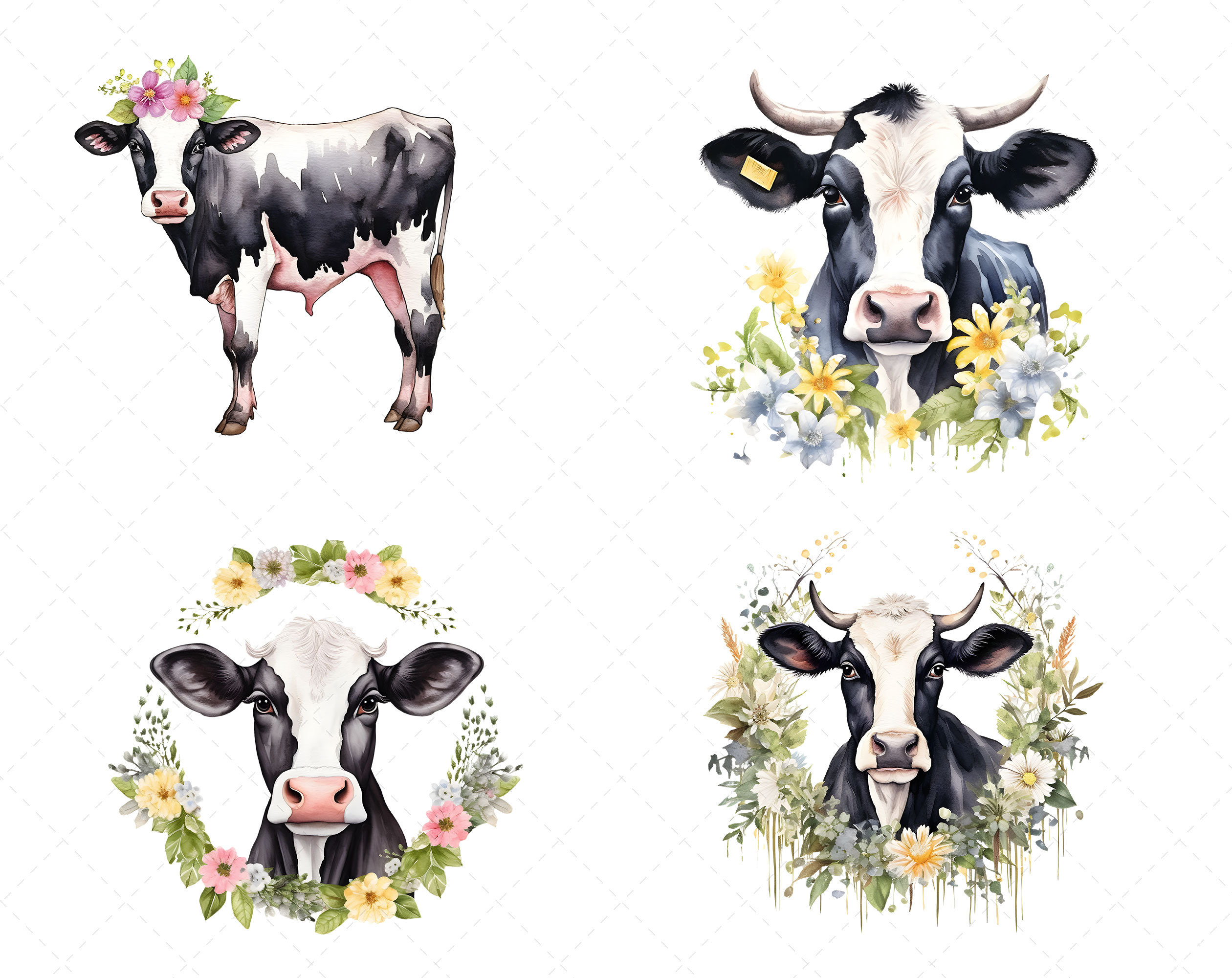 Holstein Cow Floral Clipart PNG Bundle, Cows Transparent Sublimation ...